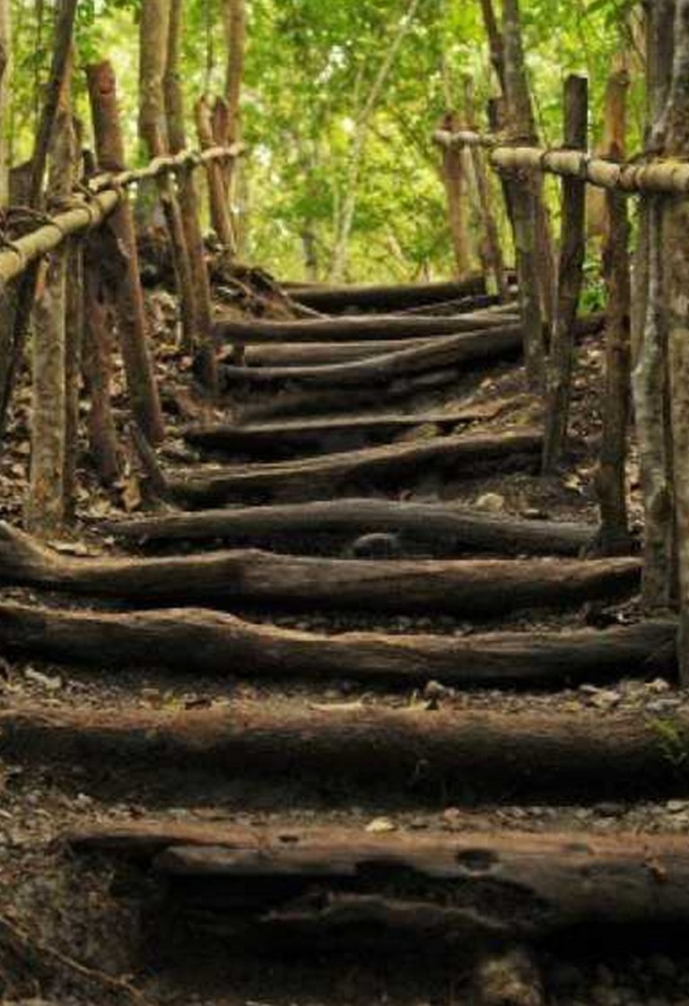 12 DIY Wood Log Projects - Add Creativity To Home - DIY Crafts