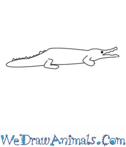 20 Easy Crocodile Drawing Ideas - How To Draw Crocodile - DIY Crafts