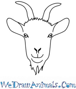 28 Learn Goat Drawing Ideas with Drawing Tutorial - DIY Crafts
