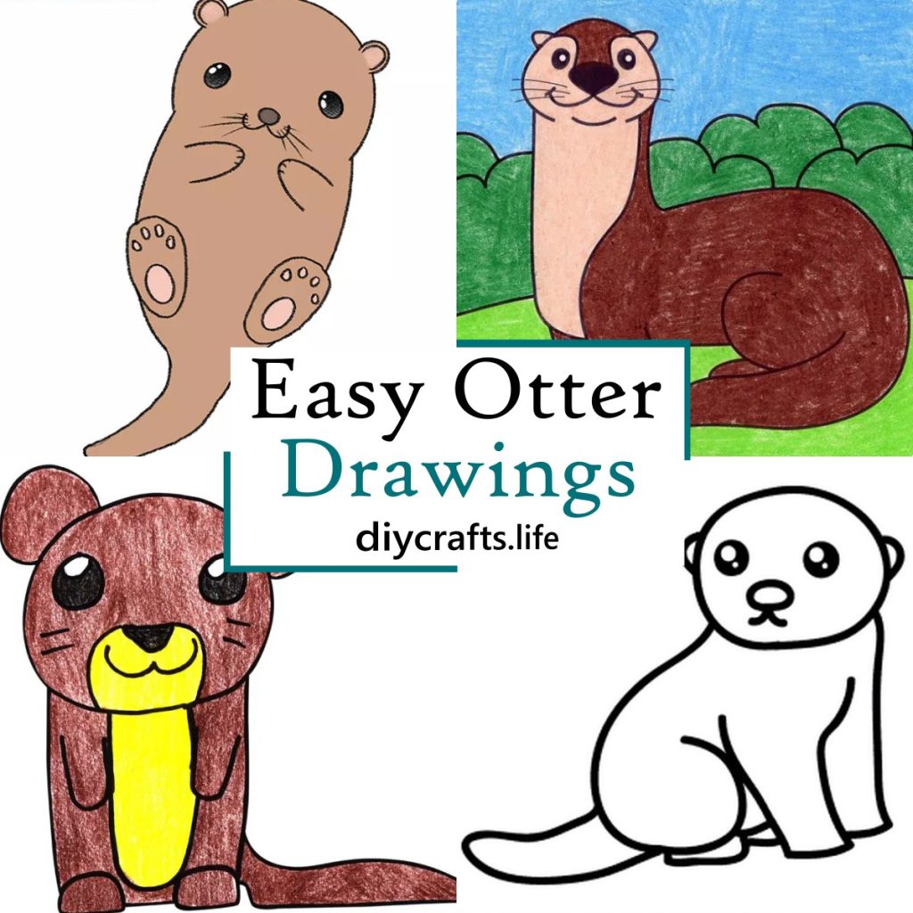 20 Amazing Bug Drawings With Step By Step Guide Diy Crafts
