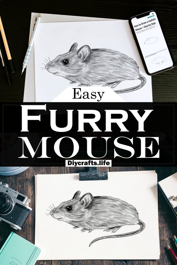 23 Easy Mouse Drawings - Step By Step Guide - DIY Crafts