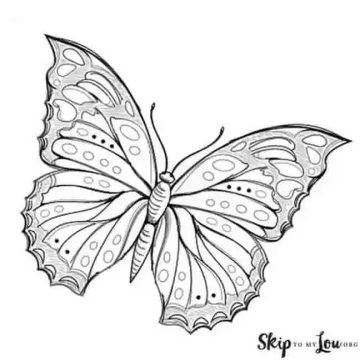 30 Learn Easy Butterfly Drawing Ideas - DIY Crafts