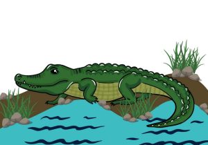 20 Easy Crocodile Drawing Ideas - How To Draw Crocodile - DIY Crafts
