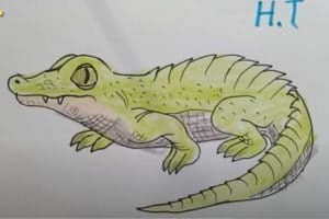 20 Easy Crocodile Drawing Ideas - How To Draw Crocodile - DIY Crafts