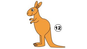 26 Easy Kangaroo Drawings- Step By Step Guide - DIY Crafts