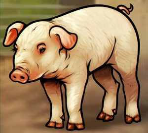 26 Easy Pig Drawing Ideas - Step By Step Guide - DIY Crafts