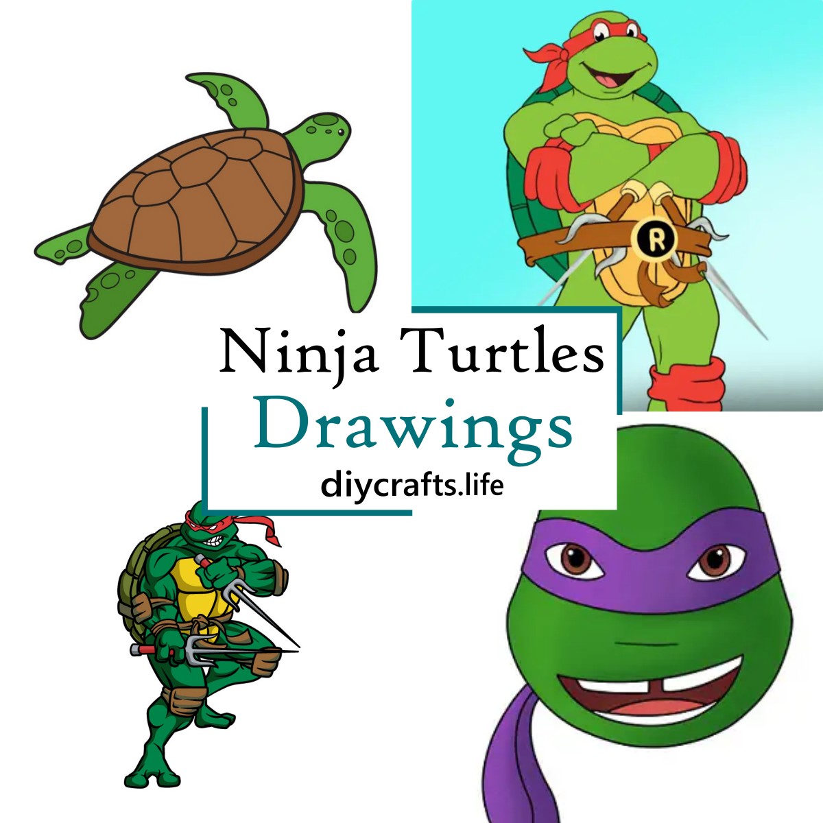 26 Ninja Turtle Drawings With Step By Step Guide DIY Crafts