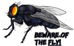 22 Easy Fly Drawing Ideas For Kids - DIY Crafts