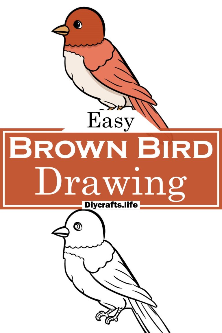 28 Easy Bird Drawings Ideas - Step by Step Guide - DIY Crafts