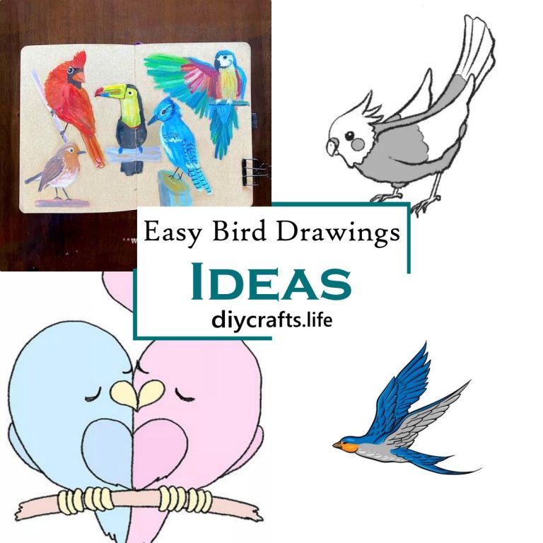 28 Learn Goat Drawing Ideas with Drawing Tutorial - DIY Crafts
