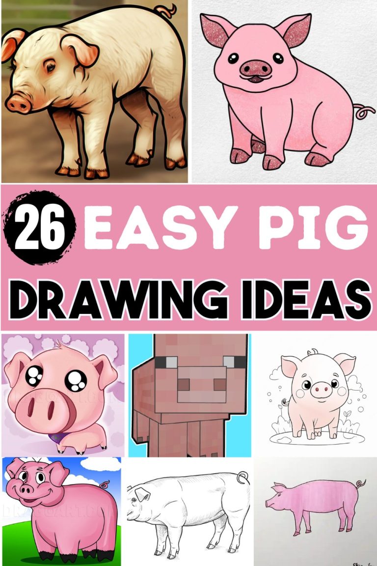 26 Easy Pig Drawing Ideas - Step By Step Guide - DIY Crafts