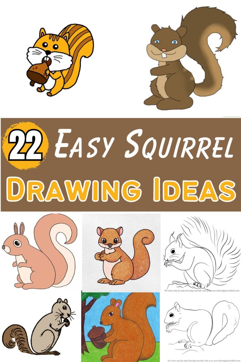 22 Easy Squirrel Drawing Ideas - DIY Crafts