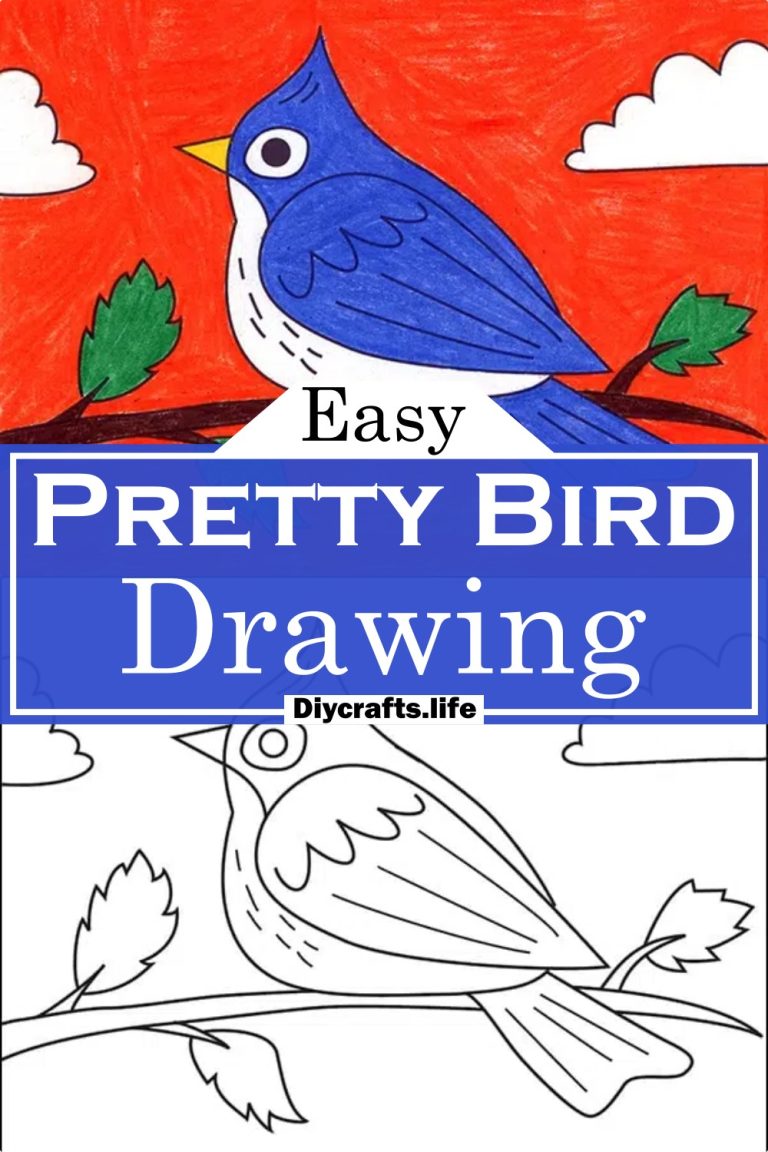 28 Easy Bird Drawings Ideas - Step by Step Guide - DIY Crafts