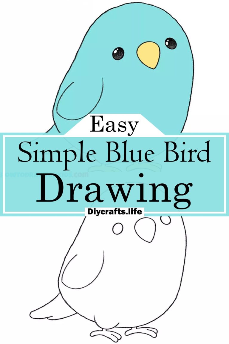 28 Easy Bird Drawings Ideas - Step by Step Guide - DIY Crafts