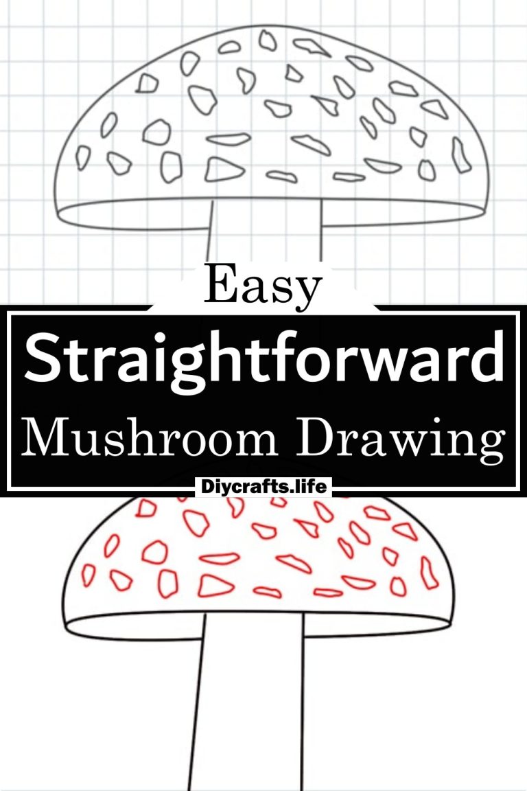 27 Easy Mushroom Drawings With Step By Step Guide - DIY Crafts