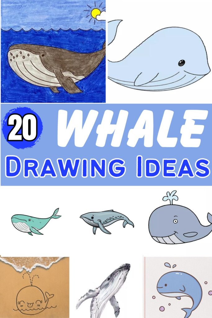 20 Whale Drawing Ideas For Kids Fun - DIY Crafts