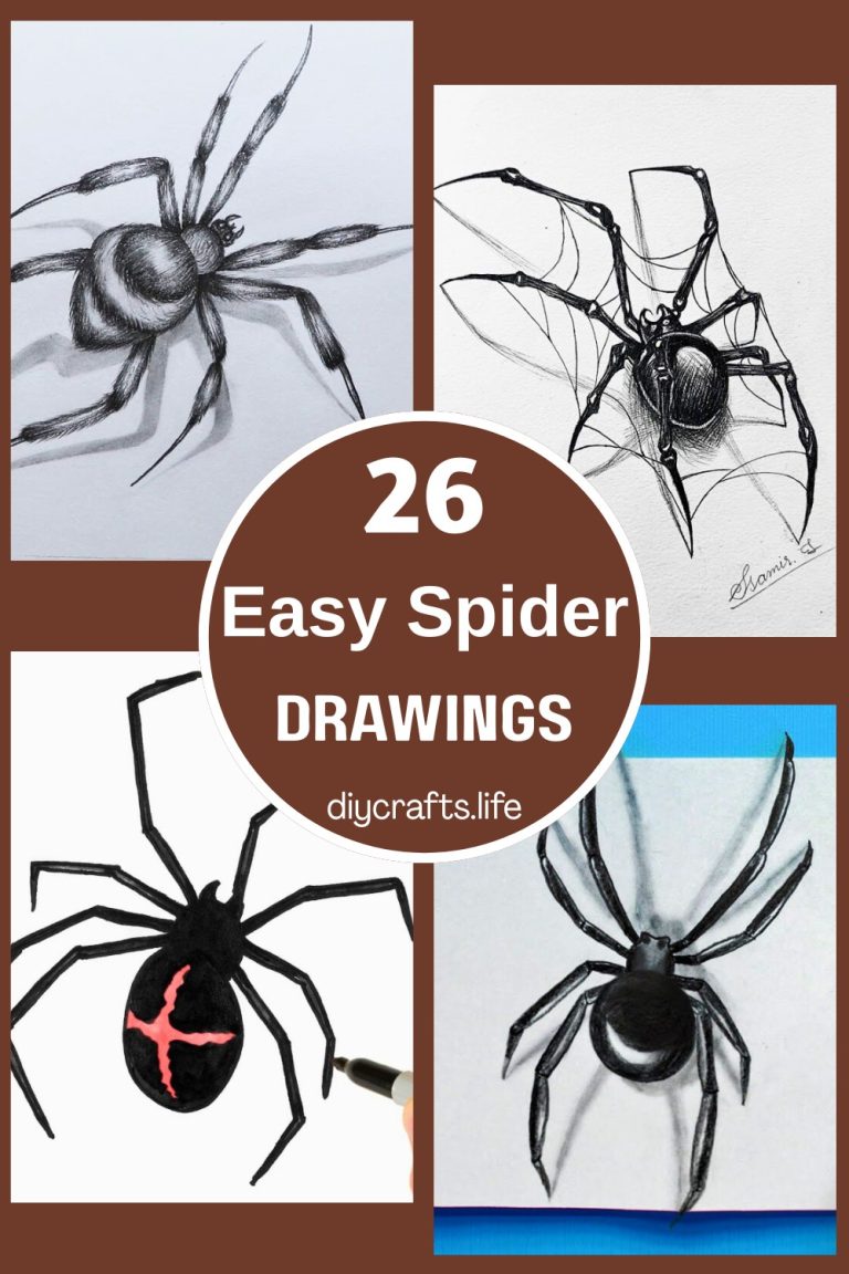 26 Spider Drawing Ideas - How To Draw Spider - DIY Crafts