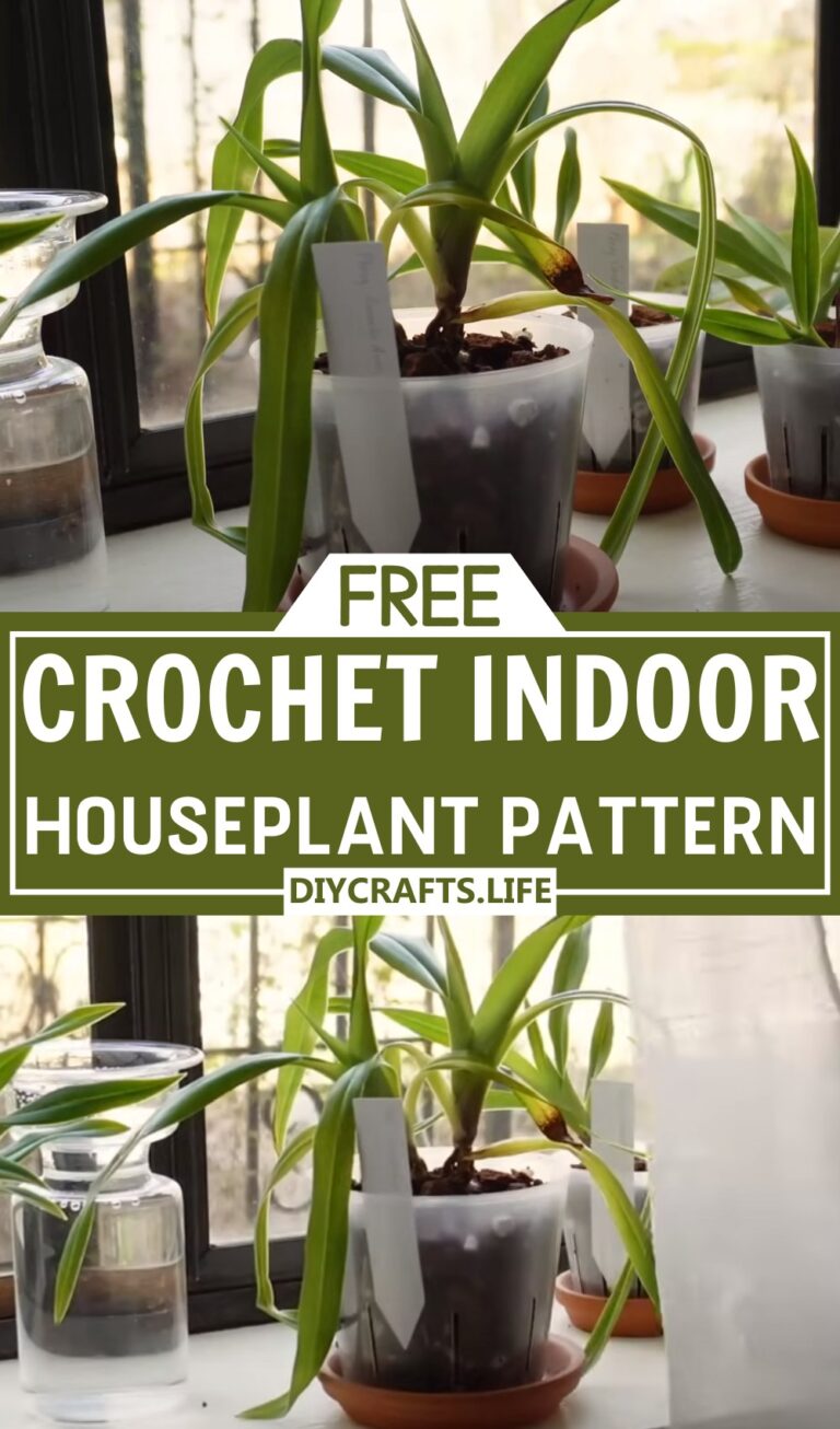 Crochet Plants Patterns To Hang Around And Stylize Your Home - DIY Crafts