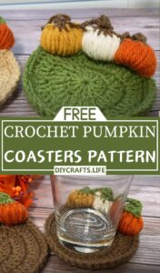 Crochet Fall Coaster Patterns For Seasonal Decor - DIY Crafts