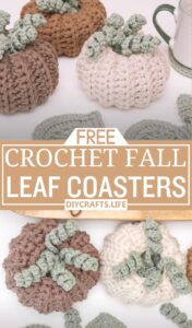 Crochet Fall Coaster Patterns For Seasonal Decor - DIY Crafts
