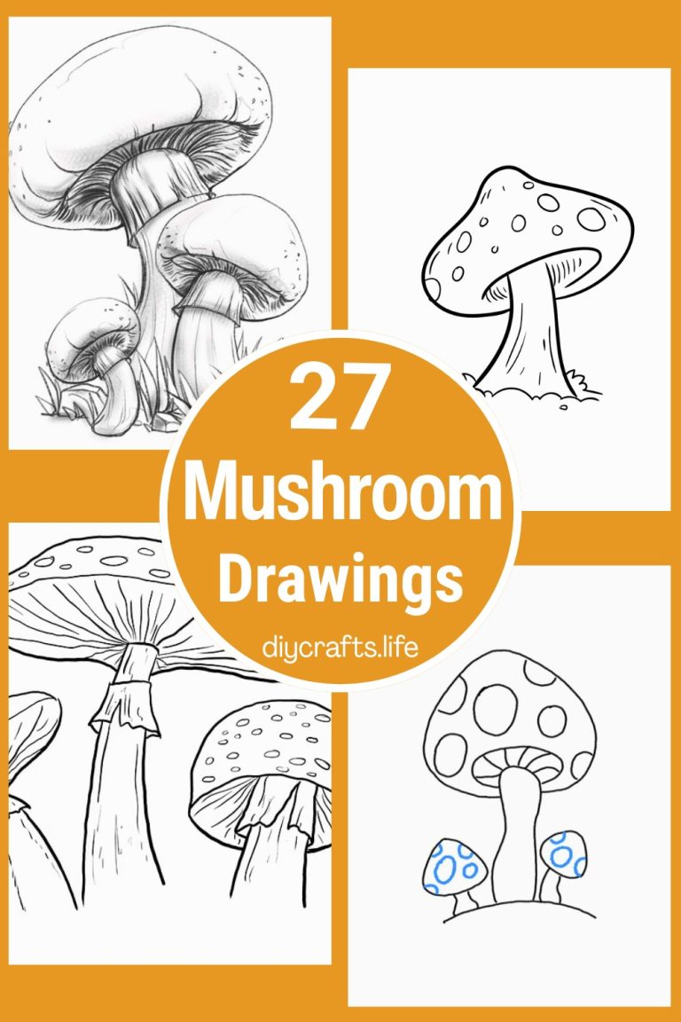 27 Easy Mushroom Drawings With Step By Step Guide - DIY Crafts