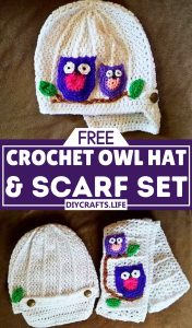 Adorable Crochet Owl Scarf Patterns - DIY Crafts