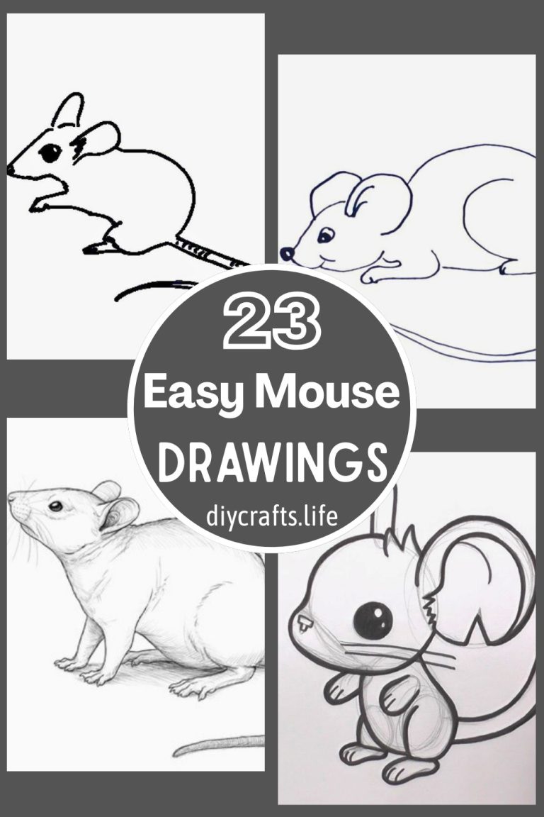 23 Easy Mouse Drawings - Step By Step Guide - DIY Crafts
