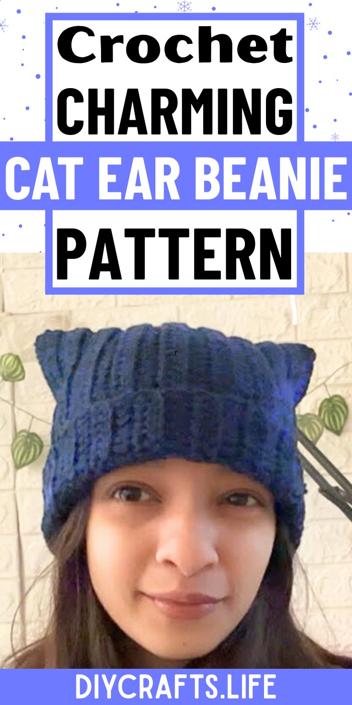 Charming Crochet Cat Ear Beanie Pattern - DIY Crafts