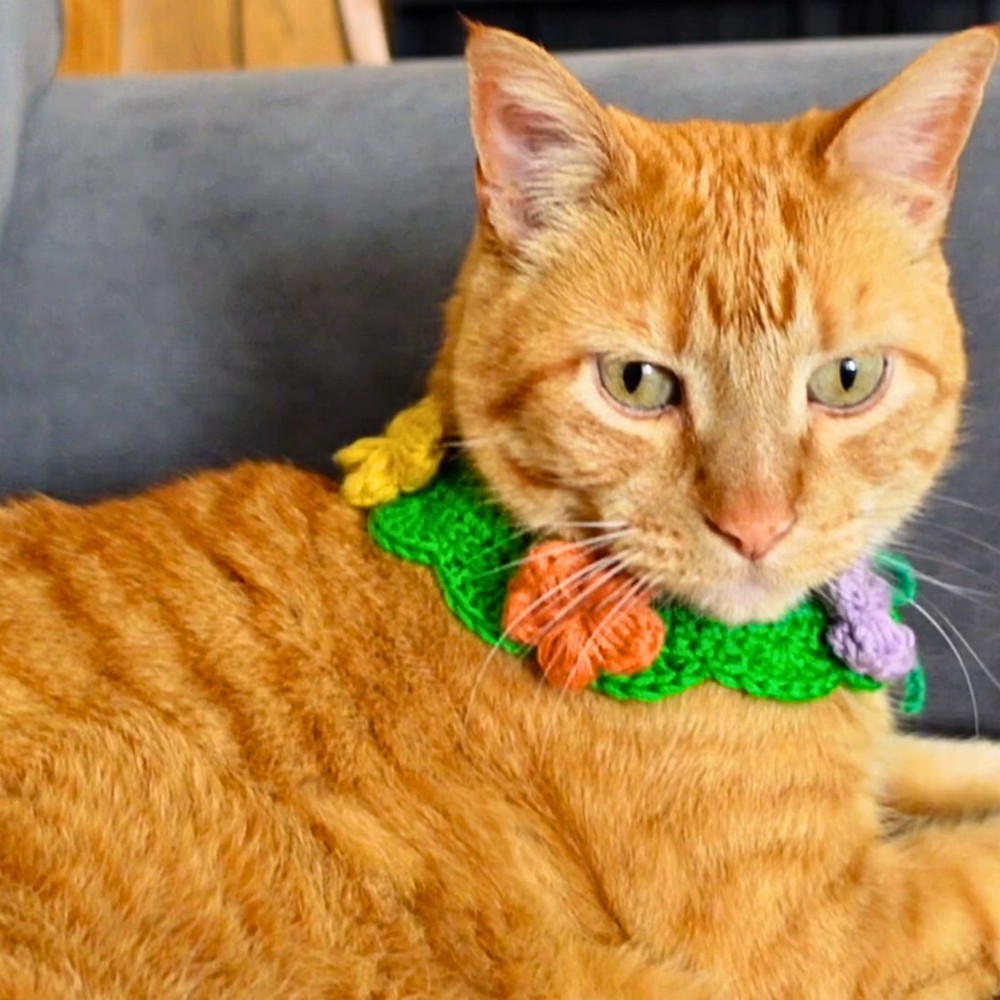 Handmade Flower Cat Collar Crochet Pattern - DIY Crafts